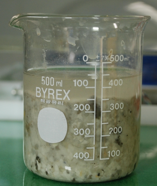 벤토나이트 수분테스트 24시간 경과 – (주)동아지반 – DongA-Geovan